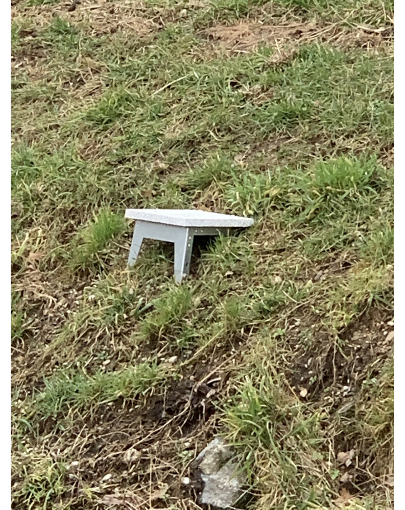 Stainless steel slope step, Maxi series, 300 mm, for on-site covering